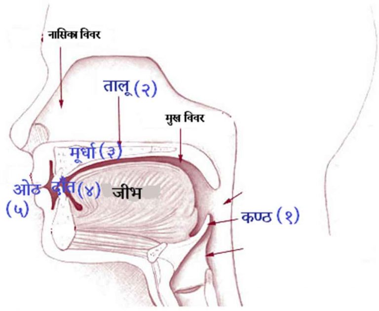 Devanagari देवनागरी वर्णमाला की राम राम : सरल संस्कृत - ३ - मघा